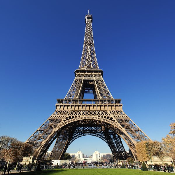 O guia completo para plantar relva brasileira em seu jardim - Encontre ...