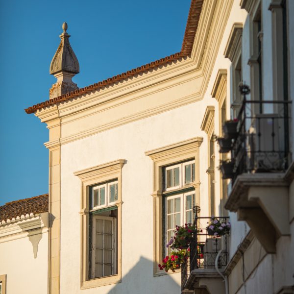 Descubra onde fazer colonoscopia pelo SNS em Lisboa: guia completo ...