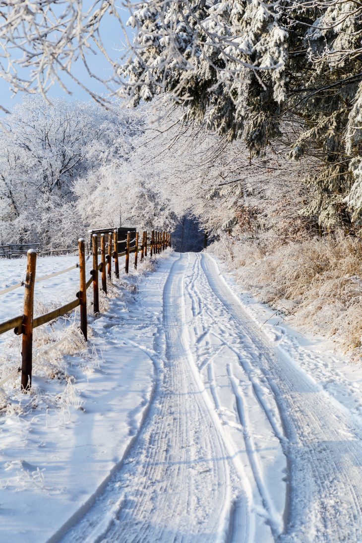 O Encanto do Inverno em Portugal: Onde e Quando Presenciar a Neve ...